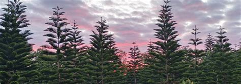 มาแล้วค่า ไร่ผาหมอกโฮมสเตย์บริการที่พักกางเต็นท์แคมป์ปิ้ง