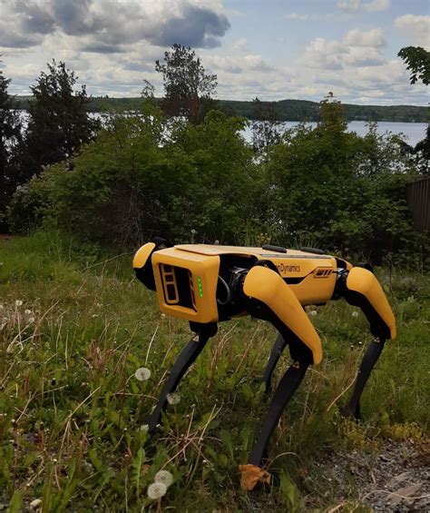 Summer Greetings From Computing Sciences Computing Sciences Tampere Universities