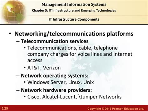 Chapter 5 It Infrastructure And Emerging Technologies PPT