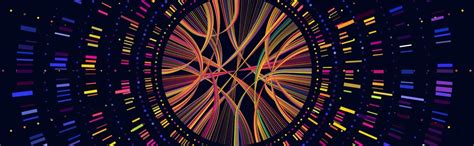 Leveraging Data For Effective Business Growth In 2025