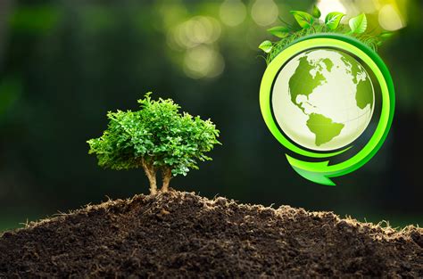 그린 소비의 가치 지속 가능한 삶을 위한 길 인사이트 플러스 건강·일·관계·성장·행복