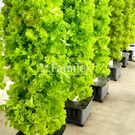 Fertilizers Nutrients Hydroponics Farmtek® Australia