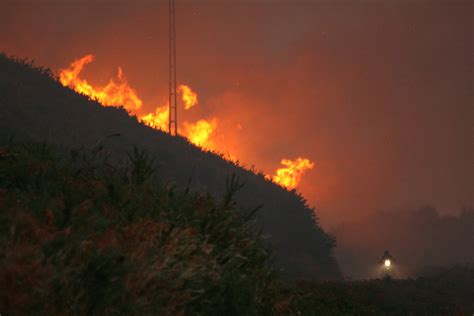 Más de 353 000 hectáreas fueron devastadas por incendios forestales en