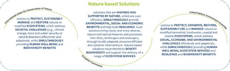 Nature Based Solution Nbs Oceancitizen