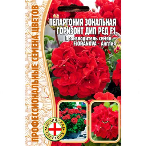 Пеларгонии (Герань) Floranova НФ-00007740 - купить по выгодным ценам в ...