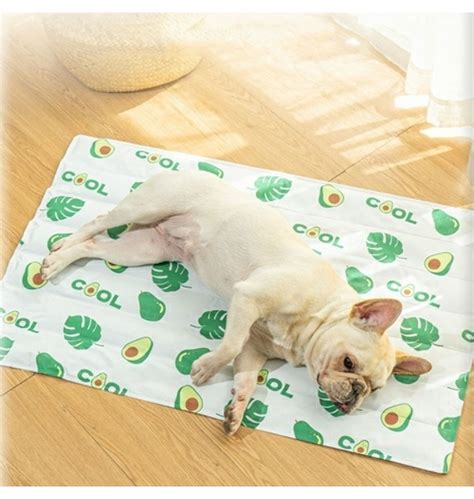 애견쿨매트 강아지 고양이 쿨매트 쿨방석 여름 시원한 티몬