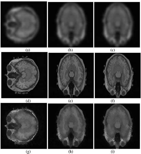 A B And C Gaussian Filtering Of Images 13a B And C Download Scientific