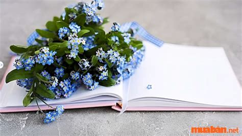 Những Sự Thật Thú Vị Về Nguồn Gốc Và Ý Nghĩa Hoa Lưu Ly