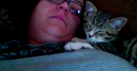 Sleepy Kitty Imgur