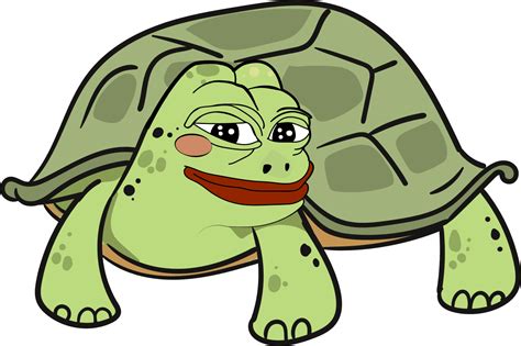 Turtle Pepe Tupe