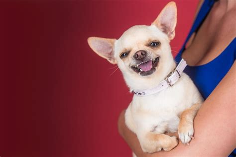 Premium Photo Devotion And Constancy Concept