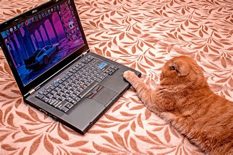 My Nostalgic Thinkpad T420 R Thinkpad