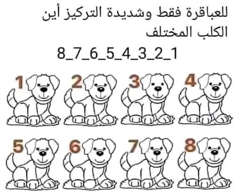 شارب بيبسي وراكب تاكسي😂💥 كود خصم نون مصر 🇪🇬 و الخليج 🇦🇪🇸🇦فعال 100 لسنة 2024 خصم يصل الى 70