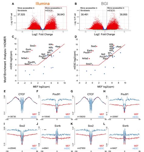 Figure 3 From Benchmarking Of Atac Sequencing Data From Bgis Low Cost Dnbseq G400 Instrument