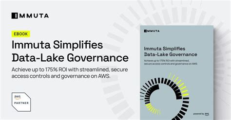 Datagovernance Datalake Dataaccess Immuta