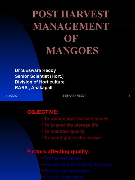 Post Harvest Management Of Mangoes Nature