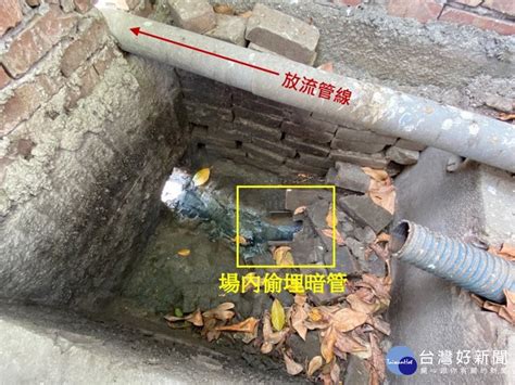 惡意排放廢水 高市大寮養豬場依法嚴懲並限期改善