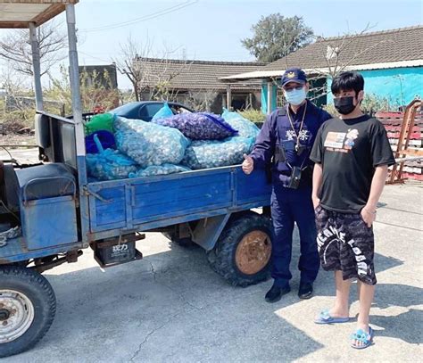 蒜頭進入採收期 北港警民聯手護農