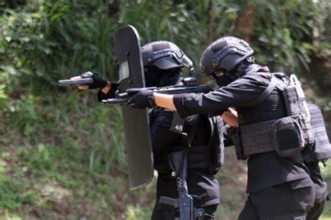 Kkb Lakukan Penembakan Brutal Polda Papua Kirim Brimob Ke Puncak Jaya