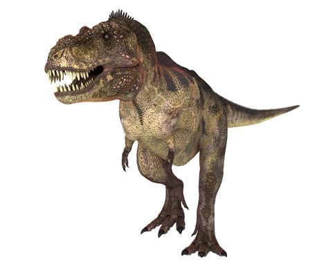 Tiranossauro Rex Dinossauros Animais Infoescola