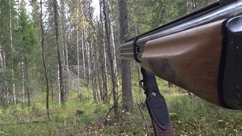 Охота на боровую дичь с манком 2020 Отличная охота Youtube