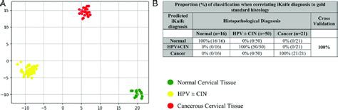 Multivariate Analysis Of Obtained Spectra Per Sample For Identification Download Scientific