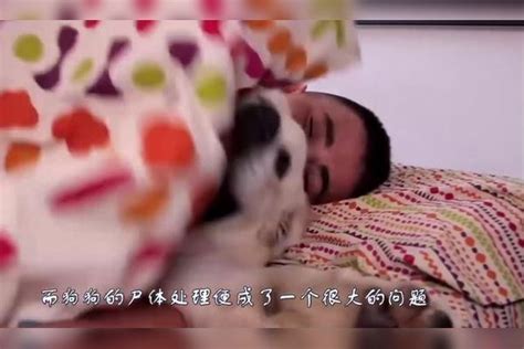 狗狗在死后为何不让埋？专家说出实情：还真不是迷信！实情狗狗