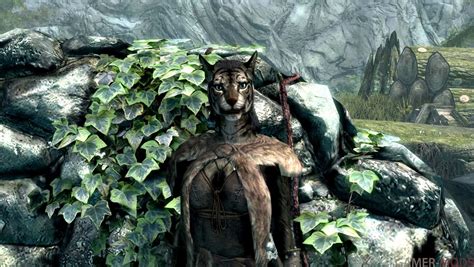 Компаньон каджитка Khajiit Follower Компаньоны I Npc Расы Tes V