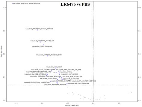 Github Sandorhnr Investigation Of The Hippocampus Of Mice Mice Were Gavaged With