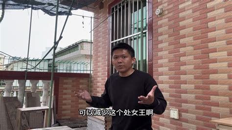 养蜂人给蜂箱做颜色标记可以提升处女蜂王的交尾成功率 Youtube