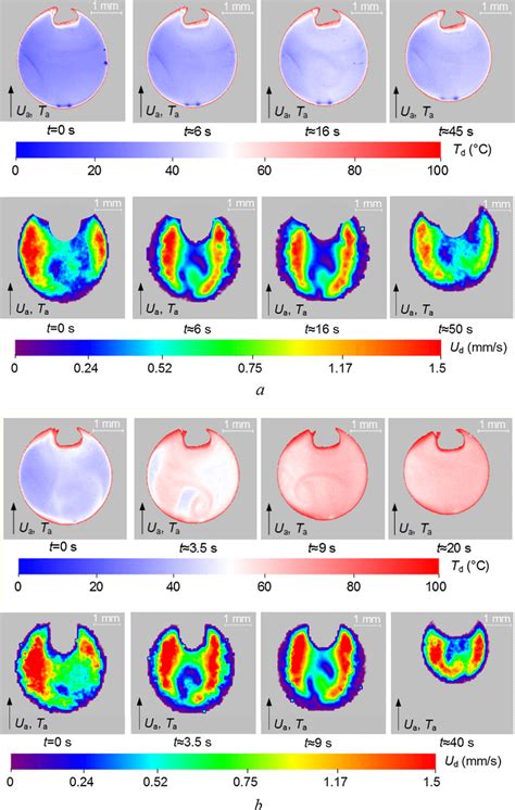 Typical Temperature Fields Of An Evaporating Water Droplet And Download Scientific Diagram