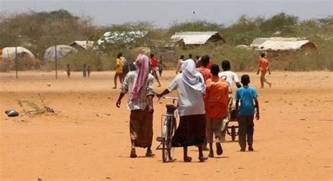 Many Ethiopians Still Internally Displaced Report Contradicts Govt