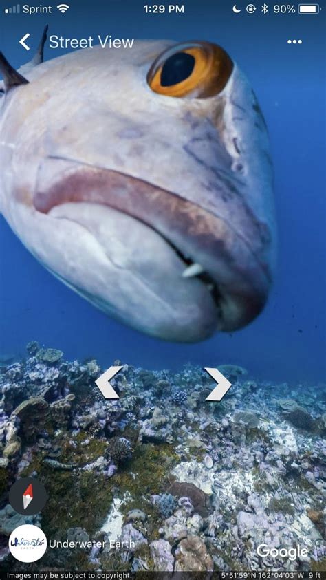 1881 Best Google Earth Images On Pholder Softwaregore Googlemapsshenanigans And Cities Skylines