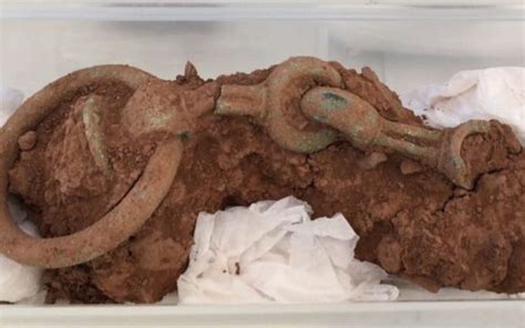 Iron Age Chariot Found By Metal Detectorist Could Fetch Up To 1m After