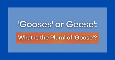 Gooses Or Geese What Is The Plural Of Goose