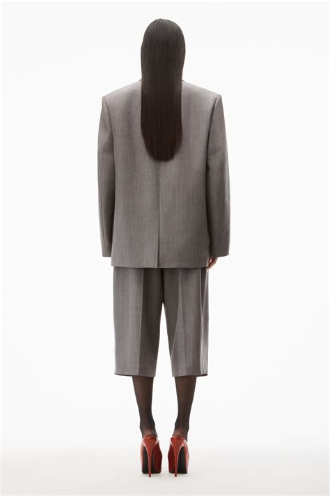 Alexanderwang Search