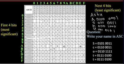 Data Representation Flashcards Quizlet