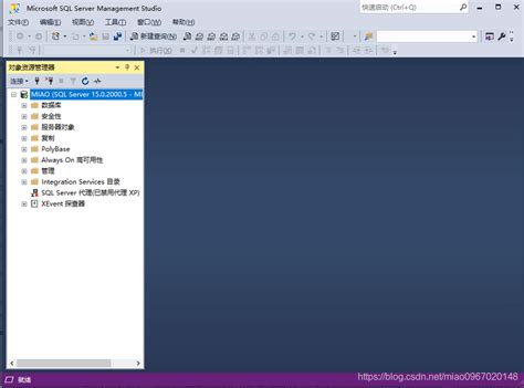 Microsoft Sql Server 2019安装和设置用户密码安装2019数据库配置报表服务需要用户名和密码 Csdn博客