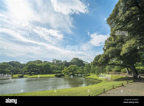 Trees Around Pond Hi Res Stock Photography And Images Alamy