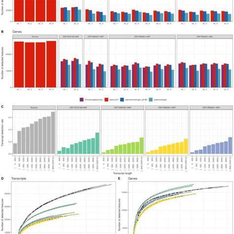 Detection Of Annotated Transcripts And Genes A B Number Of Detected Download Scientific
