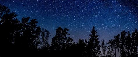 Night