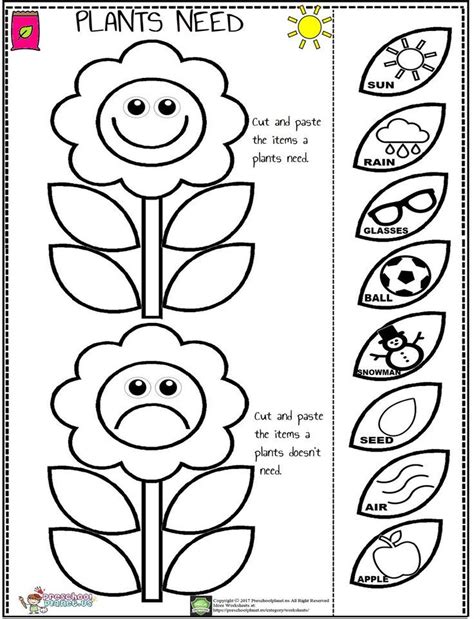 Plant Cut And Paste Activity Plant Activities Plant Lessons Preschool Activities