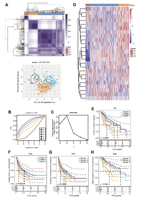Figure 1 From Development And Validation Of A Novel Ferroptosis Related Gene Signature For