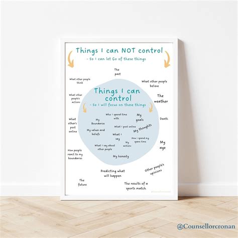 Circle Of Control Mental Health Therapy Counseling Wall Art