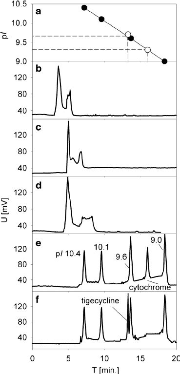 Cief Separation Of Ampholytic Antibiotics In The Mueller Hinton Broth