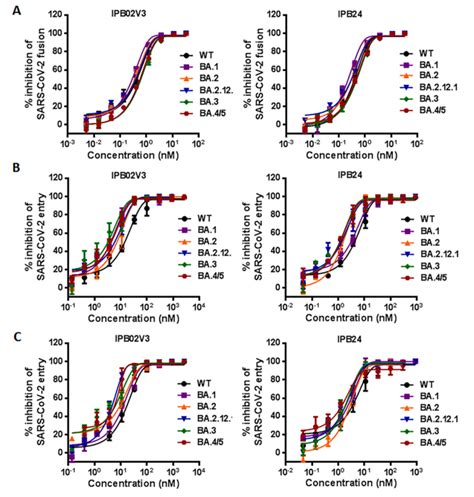 病原所何玉先教授团队发现sars Cov 2膜融合抑制剂能有效抑制多种omicron亚系毒株 生物通