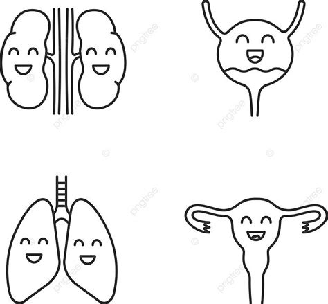 Smiling Human Internal Organs Linear Icons Set Pack Thin Urinary Vector