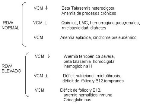 Rdw En Sangre Alto Alto Rdw Sd Y Rdw Cv En El An Lisis De Sangre