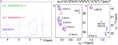 The Metallacrowns As Templates For Spontaneous Self Assembly Of