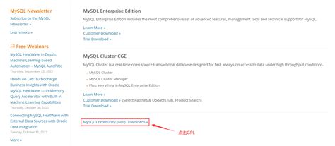 【mysql基础】mysql介绍及安装pmysql Csdn博客